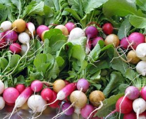 Turp Faydaları ve Zararları